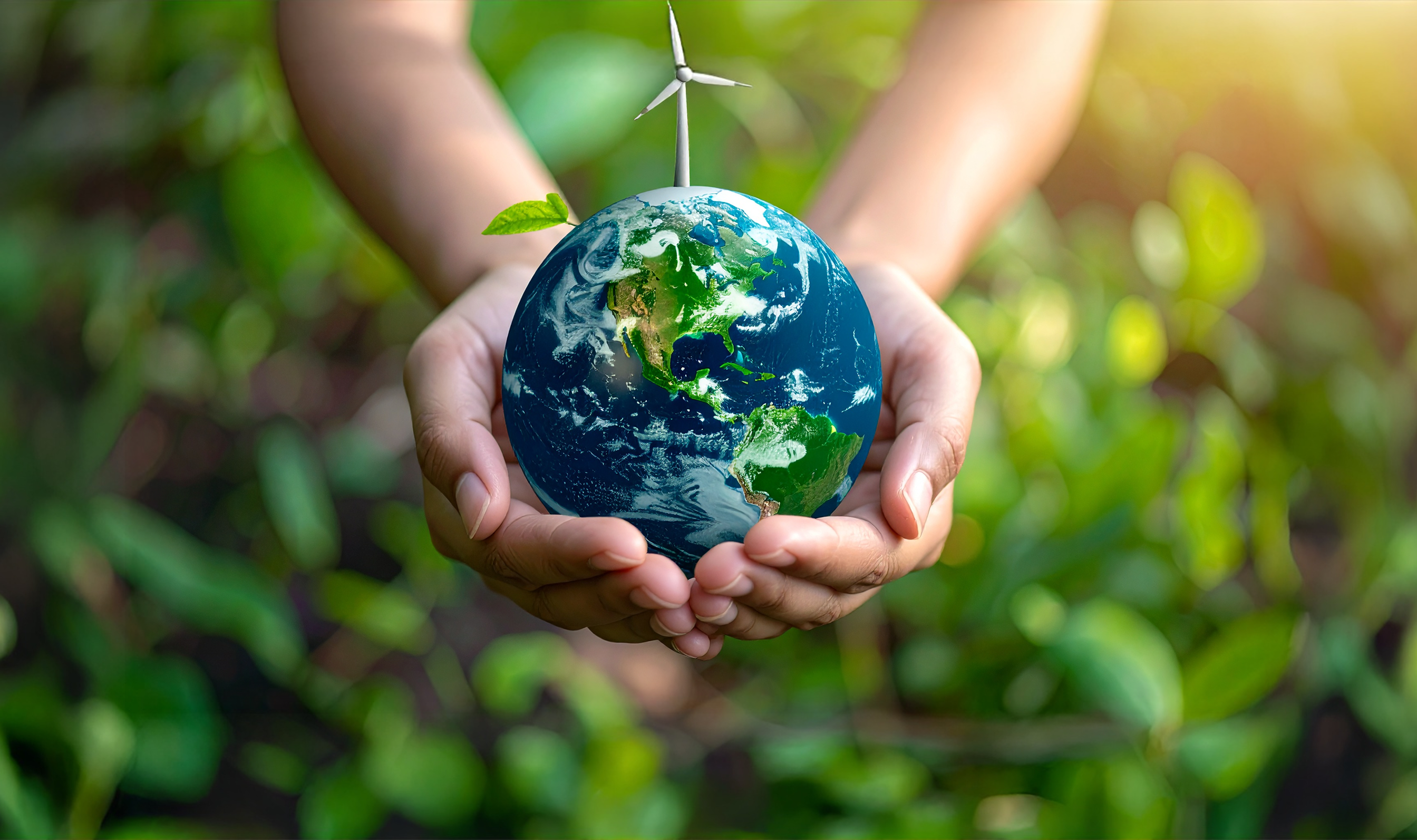 TECO Energy Service | TECO Corporation